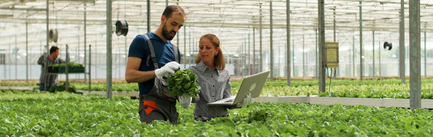 Virginia State University