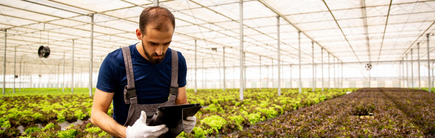 Virginia State University